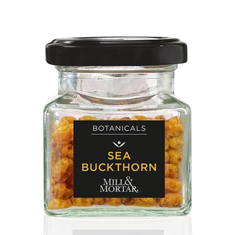 Havtorn - 6 gode grunde til at bruge havtorn som kosttilskud